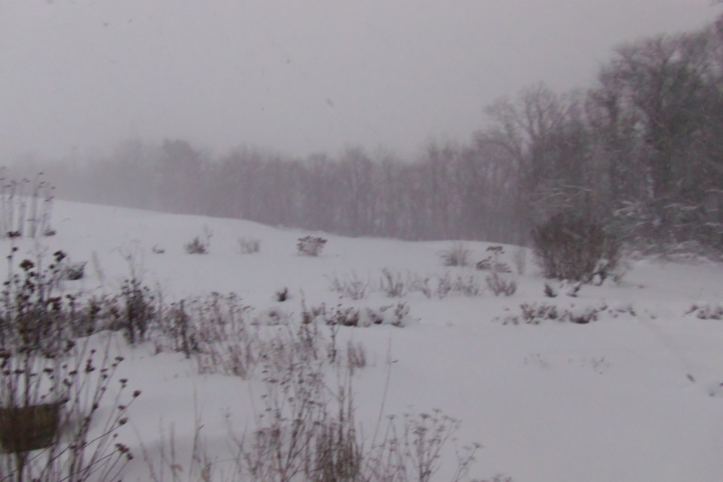 January Affirmations: 17 ways to combat spiritual lethargy • Brian Beholds