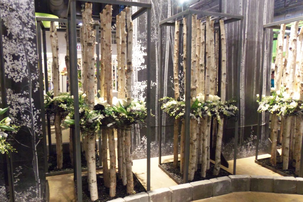 Ansel Adams Tribute at Philly Flower Show • Brian Beholds