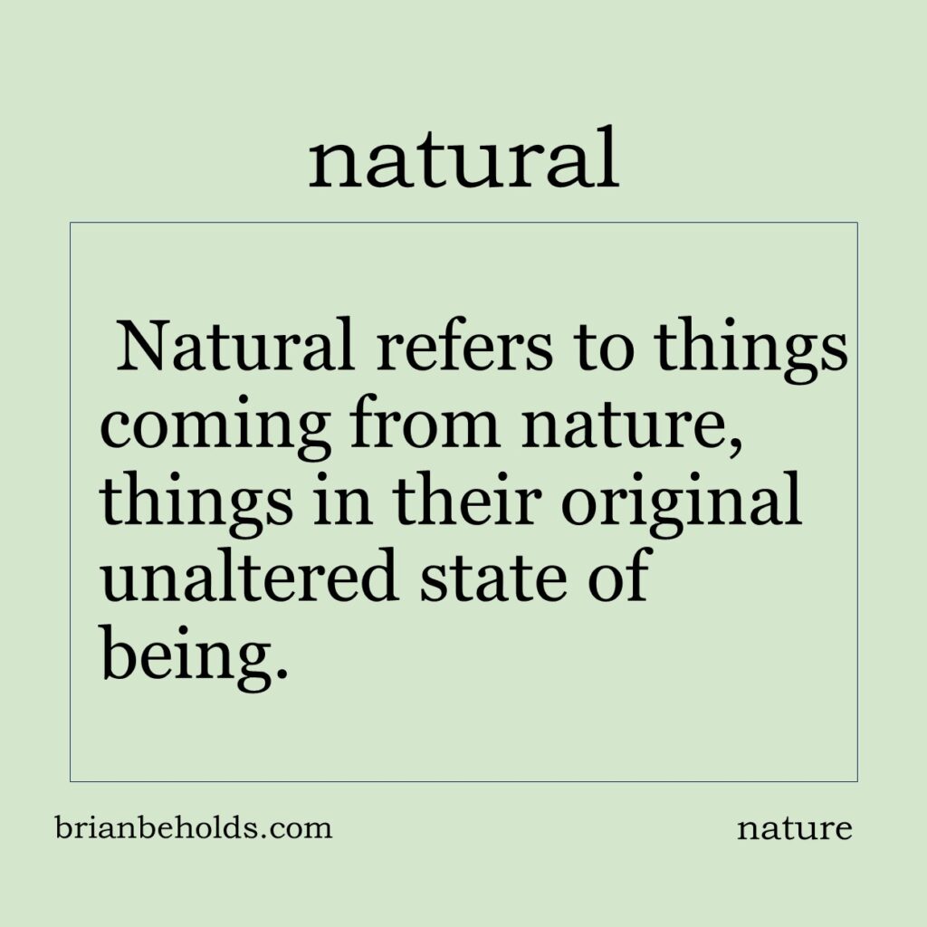nature theme • Brian Beholds
