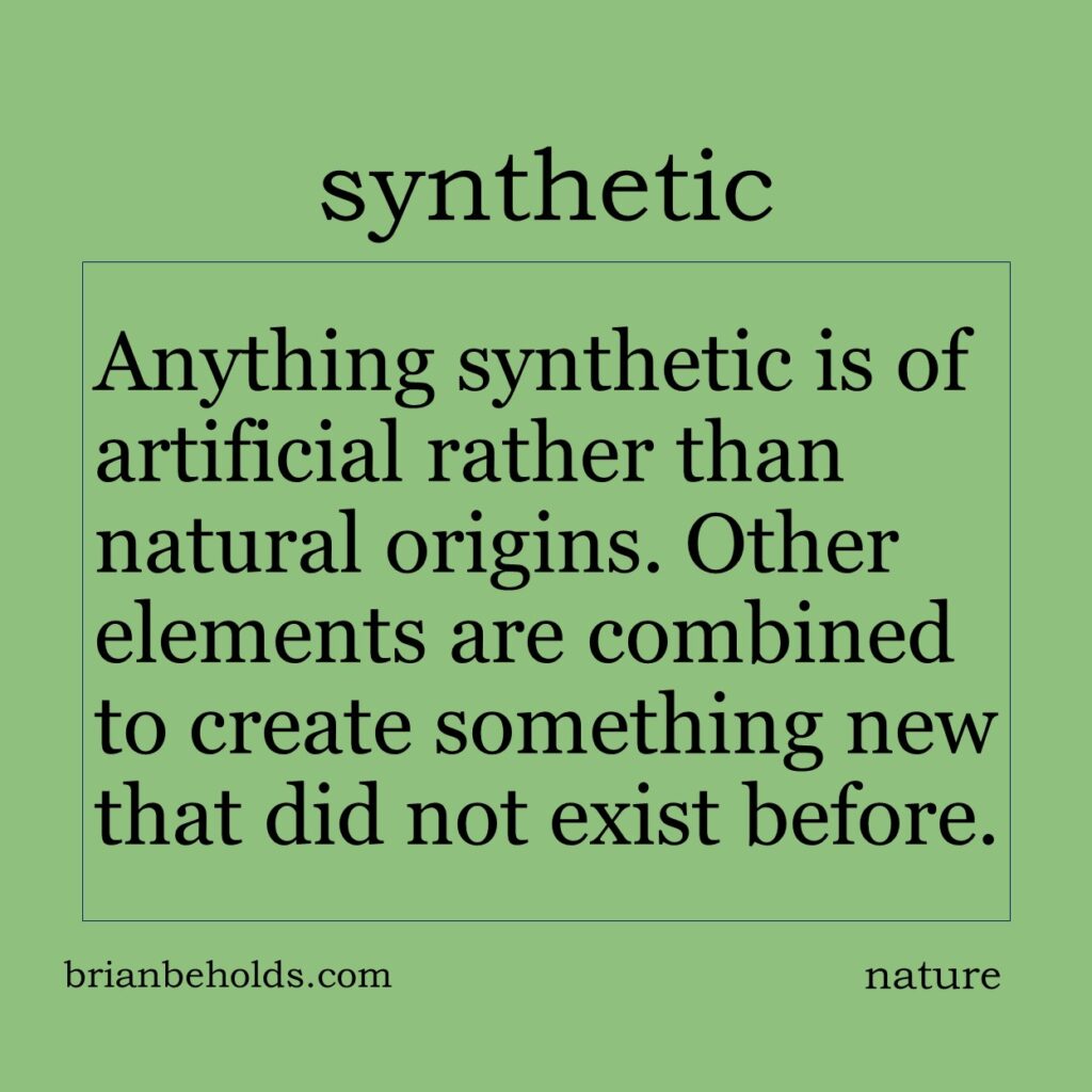 nature theme • Brian Beholds